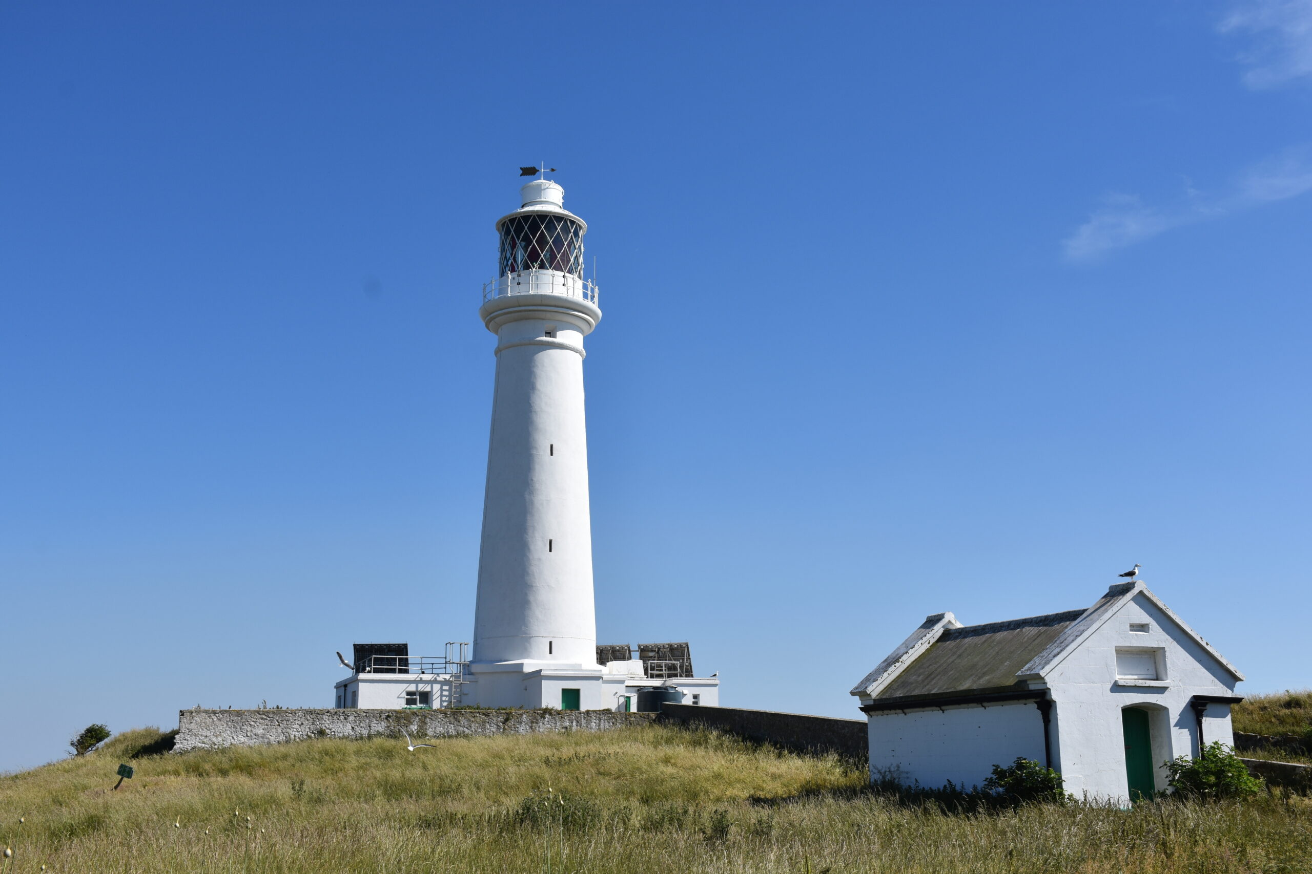 Flat Holm Visit - Bay Island Voyages